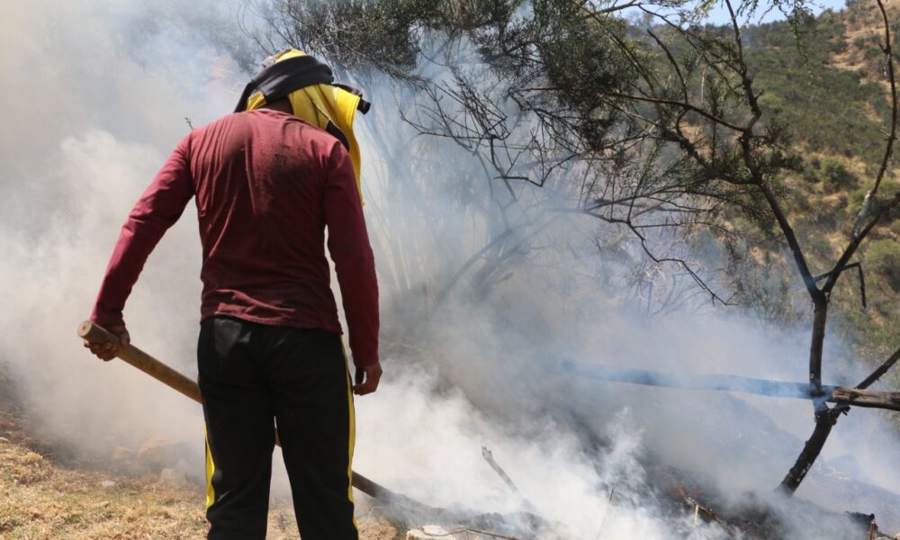 Un nuevo incendio forestal en la provincia de Canas - A Primera Hora Cusco